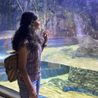 Rick Riordan | Writing Style, Themes and Books - BookLumos